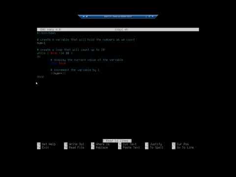 Using 'while' and 'for' loops in a Bash script
