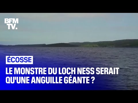 Le monstre du Loch Ness: et s’il y avait anguille (géante) sous roche ...