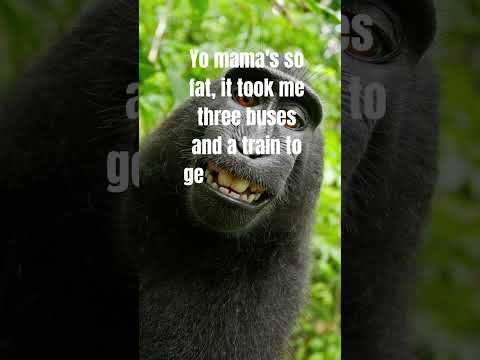 Yo mama's so fat #jokes #comedy