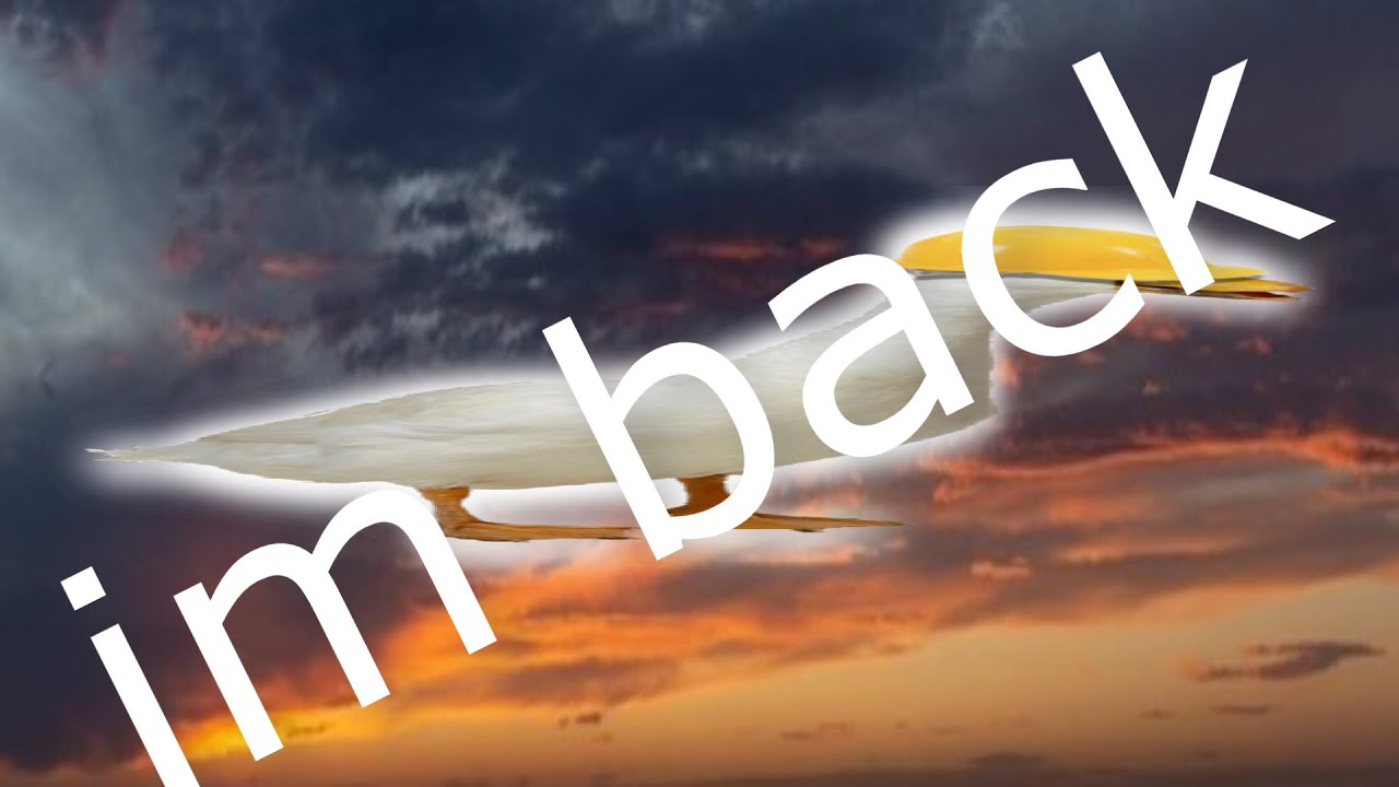 announcement (im back btw)