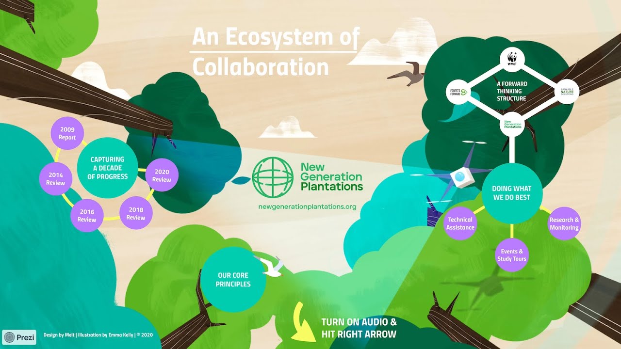 NGP Prezi: An Ecosystem of Collaboration