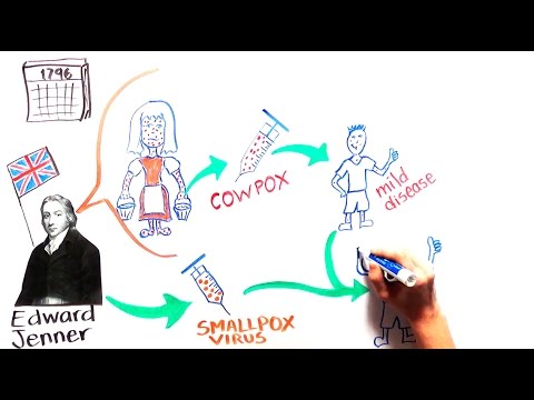 The Origin of Vaccines – Vaccine History and Research