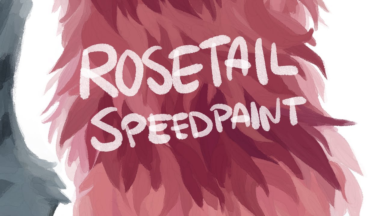 Rosetail Speedpaint