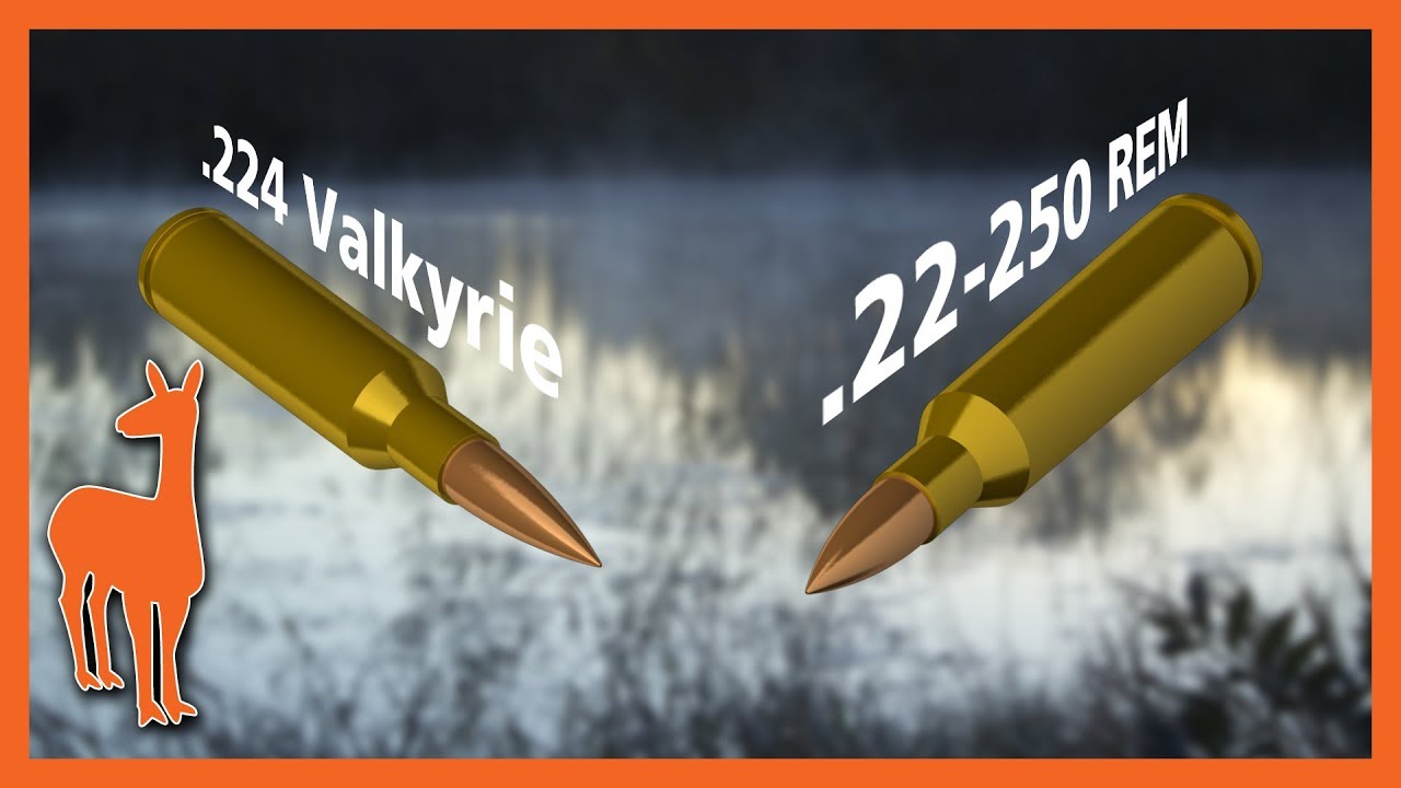 224 Valkyrie vs 22-250 Remington - Is .224 Valkyrie irrelevant?