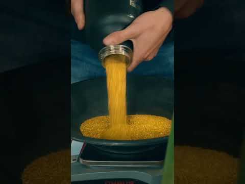 Parker Schnabel hits the jackpot! ???? #goldrush #shorts