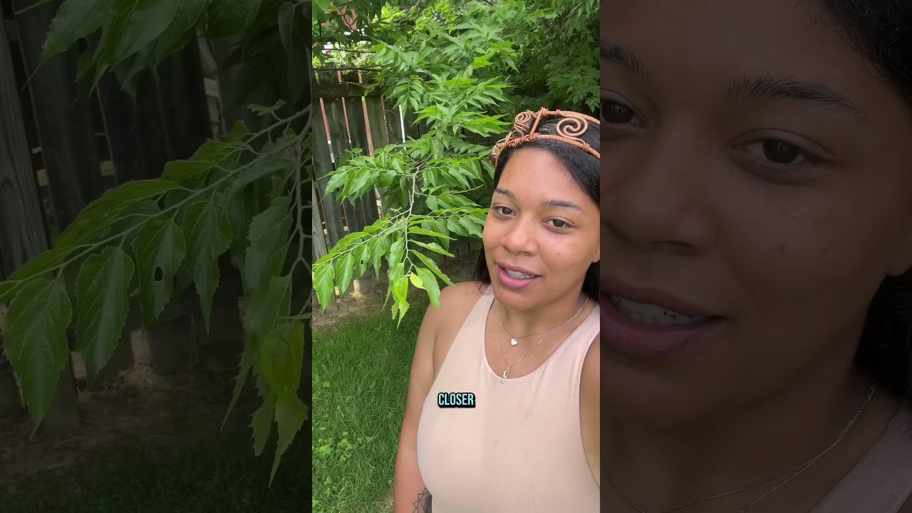 My Trees Respond to Me | Asks Gaia to Touch Shoulder | Tree Whisperer💚 #motherearth