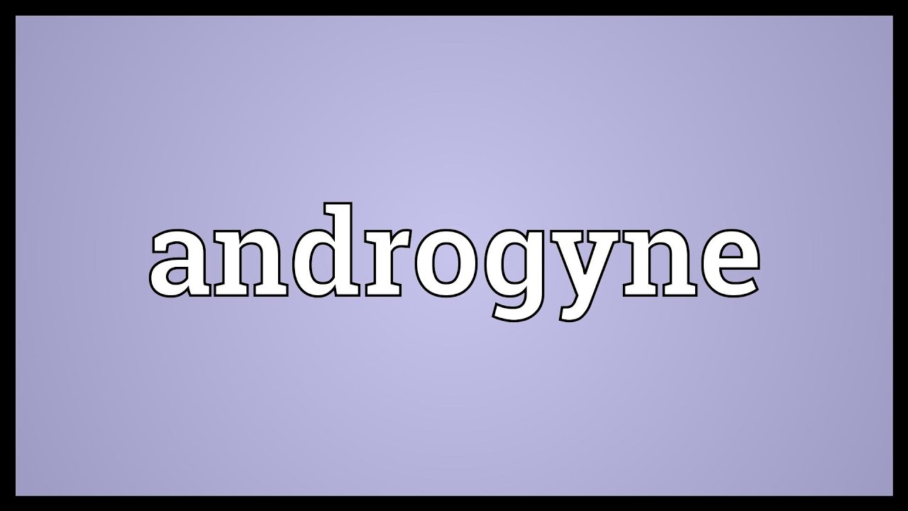 Androgyne Meaning