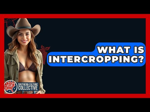 What Is Intercropping? - Southern Culture Collective