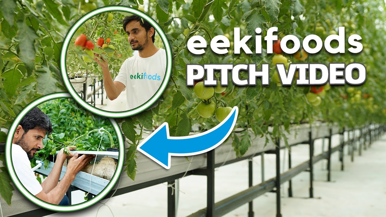 eeki automation private limited | F6S