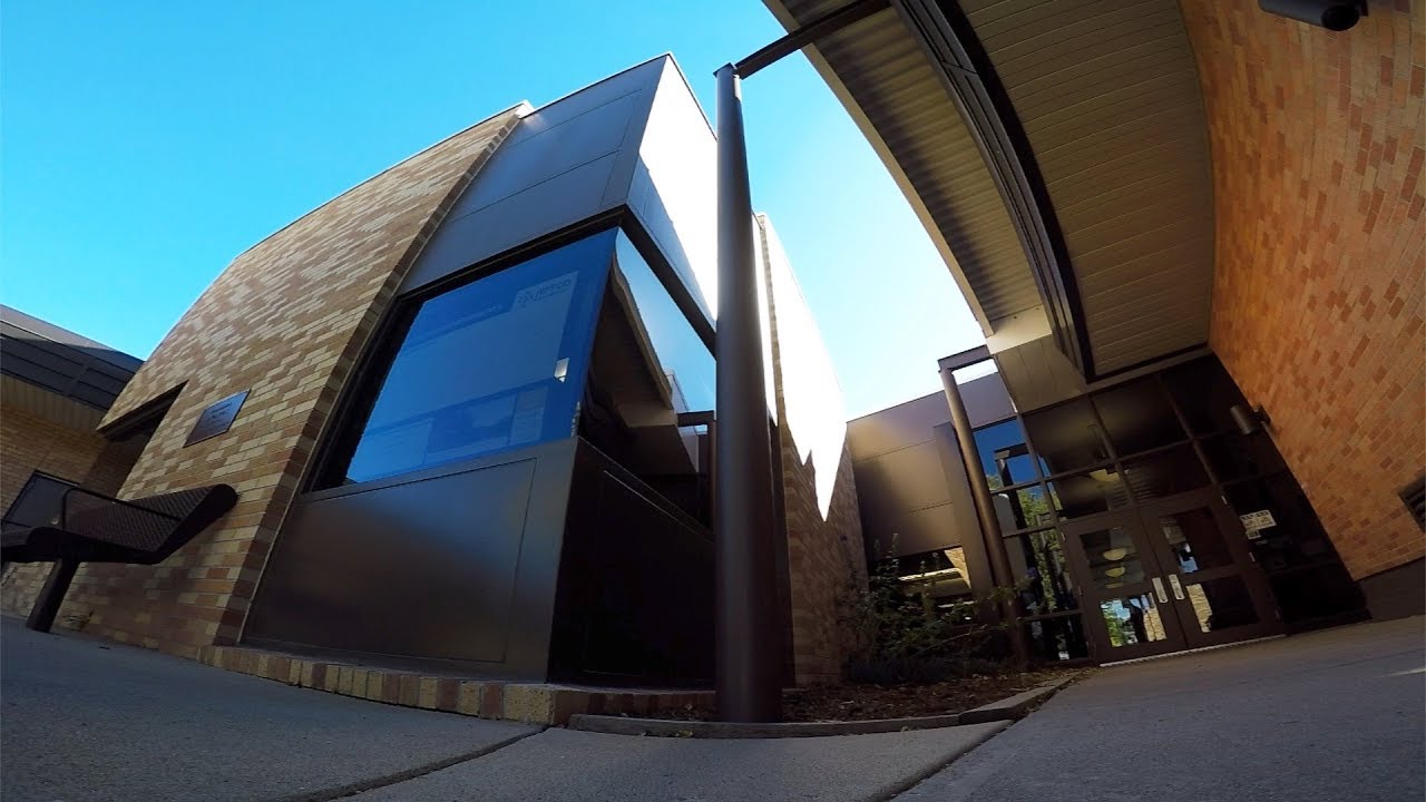 Future Funding: The Rose Stein Effect