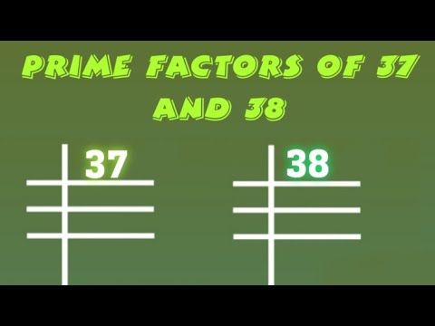 Prime Factors of 37 and 38 - Prime Factorization