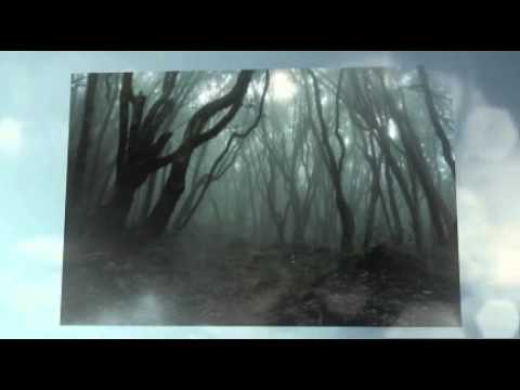 13 curses book - naafans