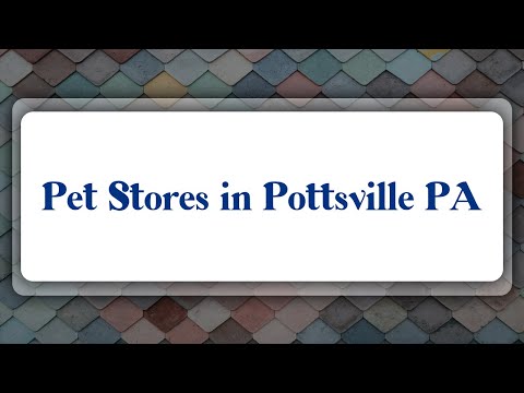 Top 10 Pet Stores in Pottsville, PA