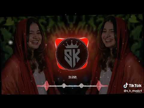 Daman bacha sohny hondin bewafa saraiki song singer gullab mumtaz molai song TikTok viral song
