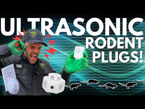 Do Rodent Repellant Plugs Work? Unlikely