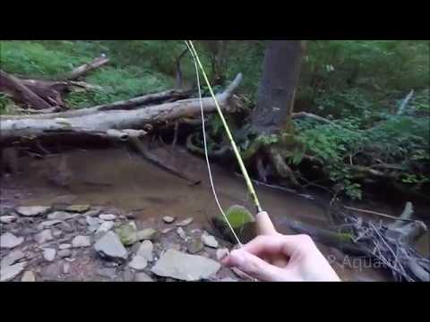 Micro fishing for trout with 1 wt fly rod