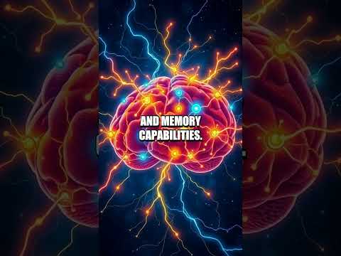 The Nervous System's Strategic Relay: Understanding Synapses