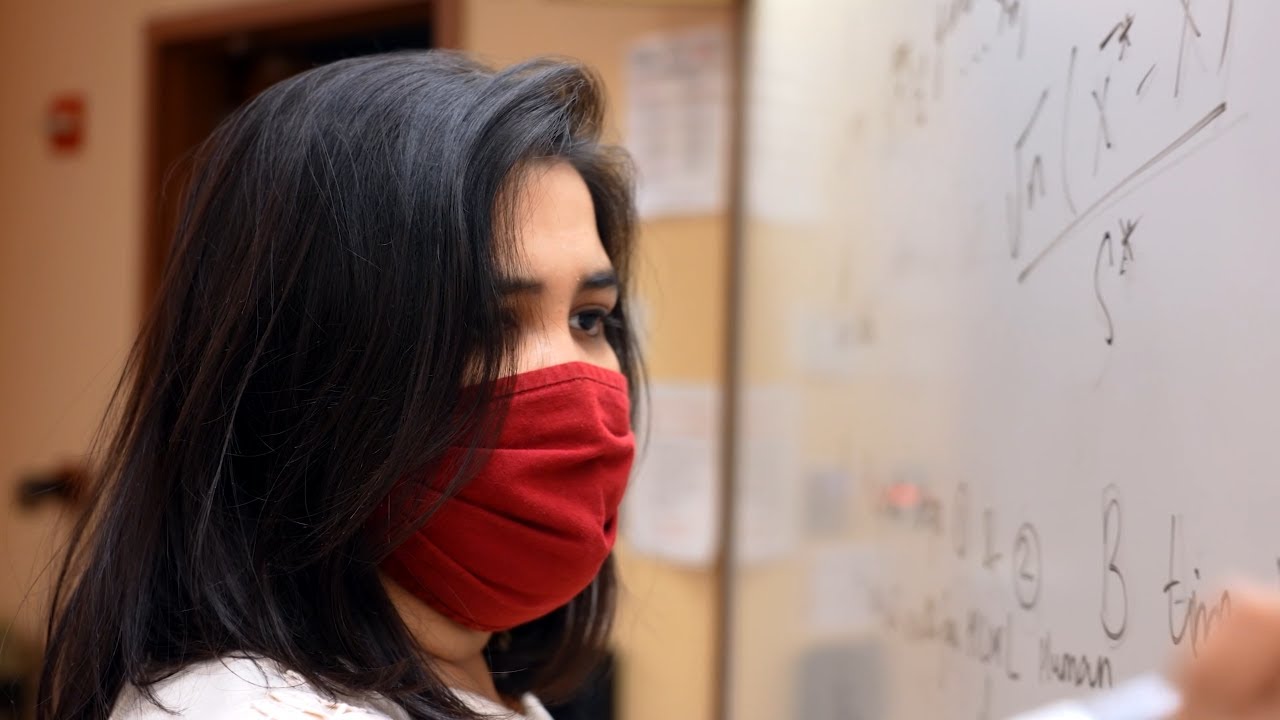 Snigdha Rai Develops Auto-Documentation and Audit Functionality for PyCaret