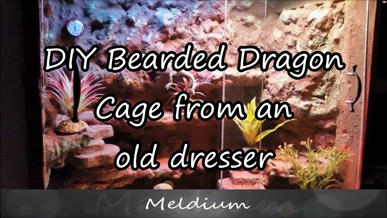 DIY Bearded Dragon Cage from an old dresser