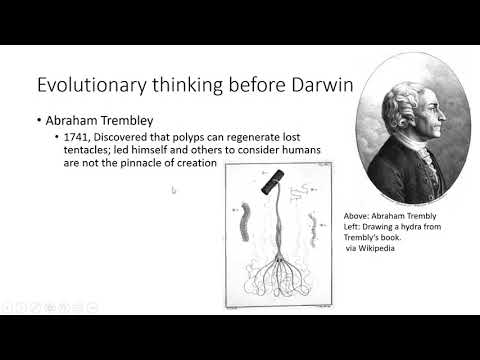 Natural Selection Part 1: What Is Evolution