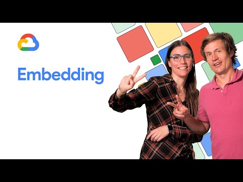What are text embeddings?