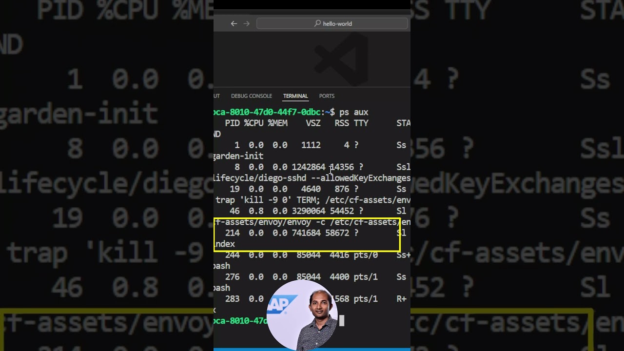 BTP Debugging | Server Side #shorts #btp #debugging #nodejs #cloudfoundry