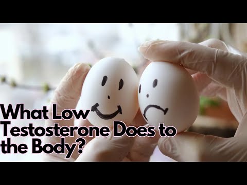 What does Low Testosterone do to the body? #healthspanculture