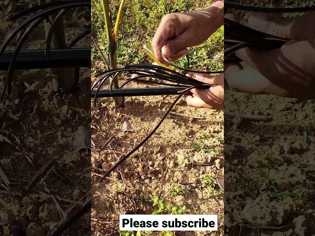 Drip Irrigation Tube - Drip Irrigation Pipes Trader - Retailer from ...