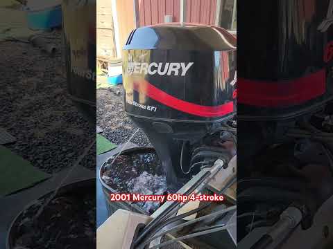 2001/02 Mercury 60hp in-line 4cyl EFI 4-stroke. @OutboardMadness #outboardmadness