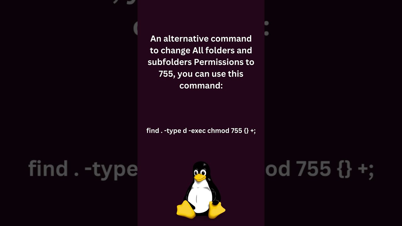 Change All Folders Permissions to 755 #set #all #permissions #777 #to #755 #linux #ubuntu #command