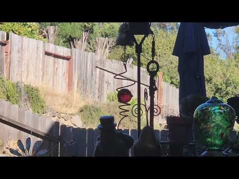 Simultaneous Garden Remote Spinners | Haydennet.com – Joseph Andrew ...