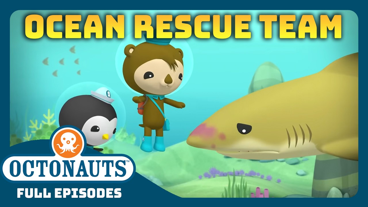@Octonauts - 🐻‍❄️😼🐧 Animal Ocean Rescue Team! 🛟 | 3 Hours+ Full Episodes Marathon