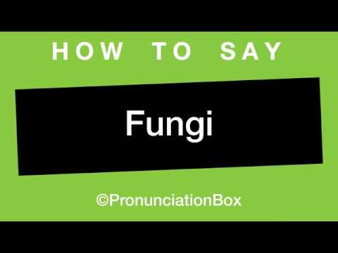 How To Say and Pronounce Fungi