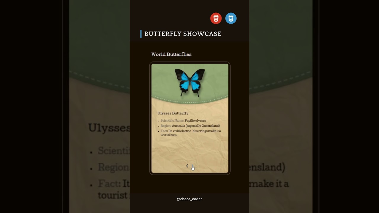 Explore 8 Stunning Butterflies in 3D | Interactive Butterfly Showcase with HTML & CSS