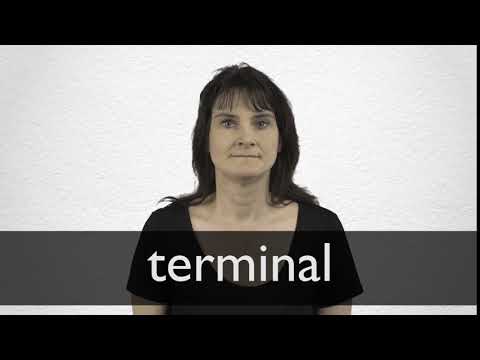 TERMINAL definition in American English | Collins English Dictionary