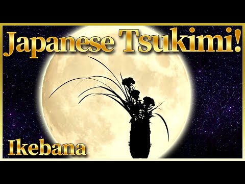 Pro Ikebana | An Ikebana Master Arranges Flowers for Moon Viewing | Japanese Tsukimi