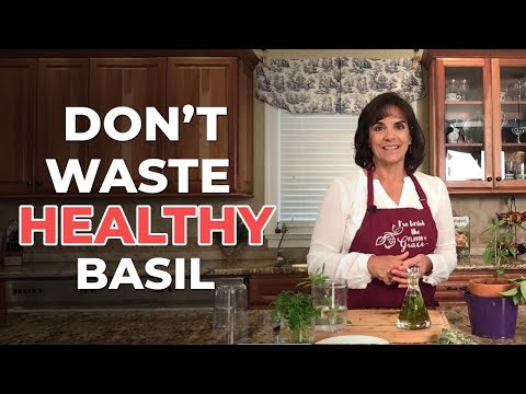 5 Ways to Store Fresh Basil + Basil Use Bonus Tips!