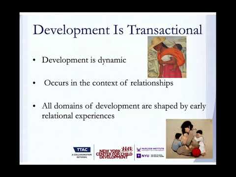 TTAC: The Foundational Elements of Early Childhood Mental Health Consultation 3