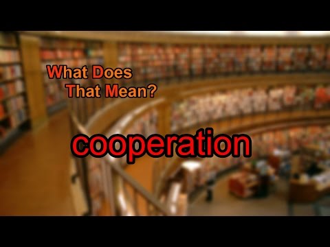 What does cooperation mean?