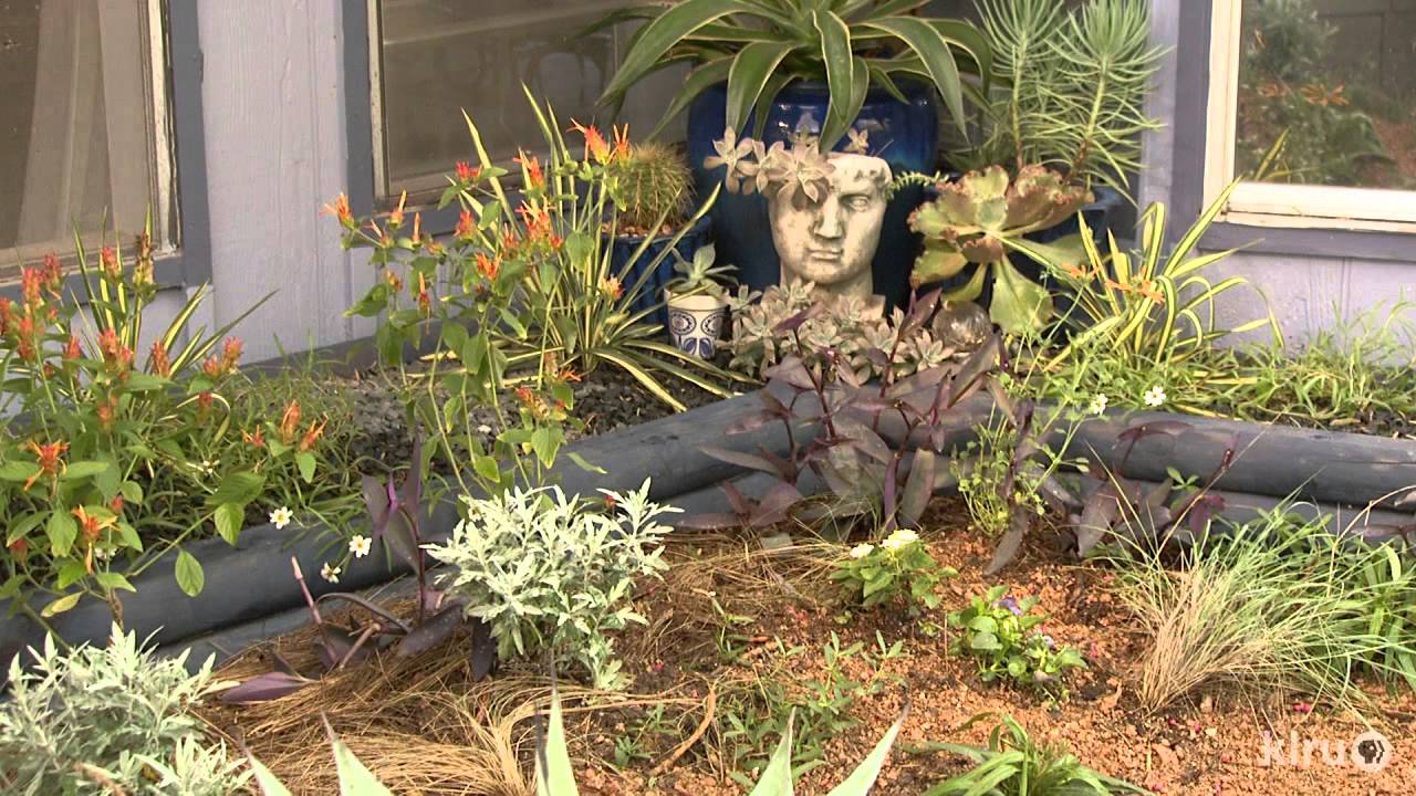 Lose lawn in first garden for much more fun |Lori Daul |Central Texas Gardener