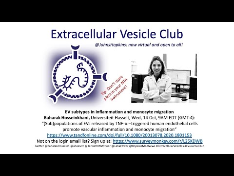 Baharak Hosseinkhani: extracellular vesicle subtypes in inflammation and monocyte migration