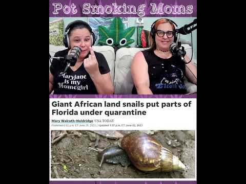 Episode 124 - Giant Snails vs Florida