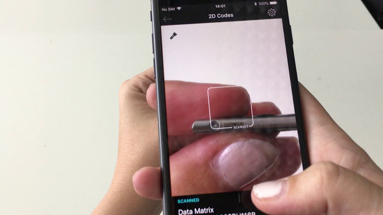 Apple DataMatrix Code Scanned with Scandit