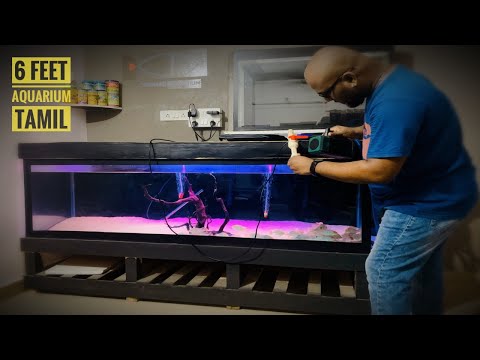 Fish Tank Cleaning Service, Aquarium Cleaning Service in India