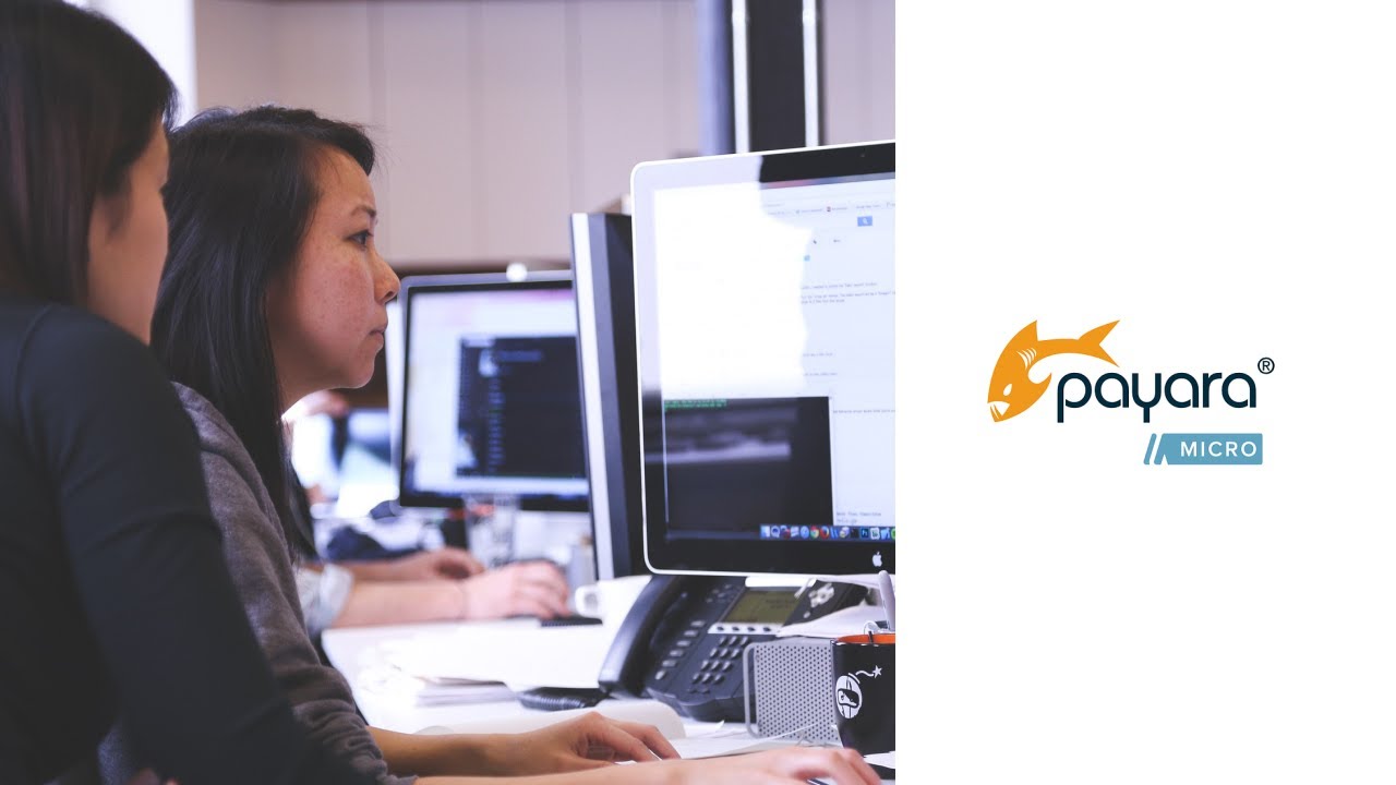 Payara Micro Training - Rudy De Busscher | Part 1/(2) (EN) - 1122