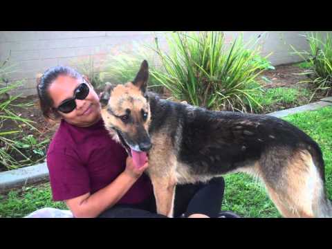 Fiona A4582896