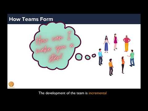 How Teams Form: Etsko Schuitema
