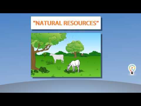 What are Natural Resources?