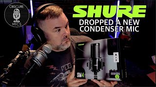 Shure SM4 Dual-diaphragm Condenser Home Recording Microphone - What To ...