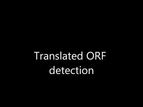RiboSeq.Org - Tutorials